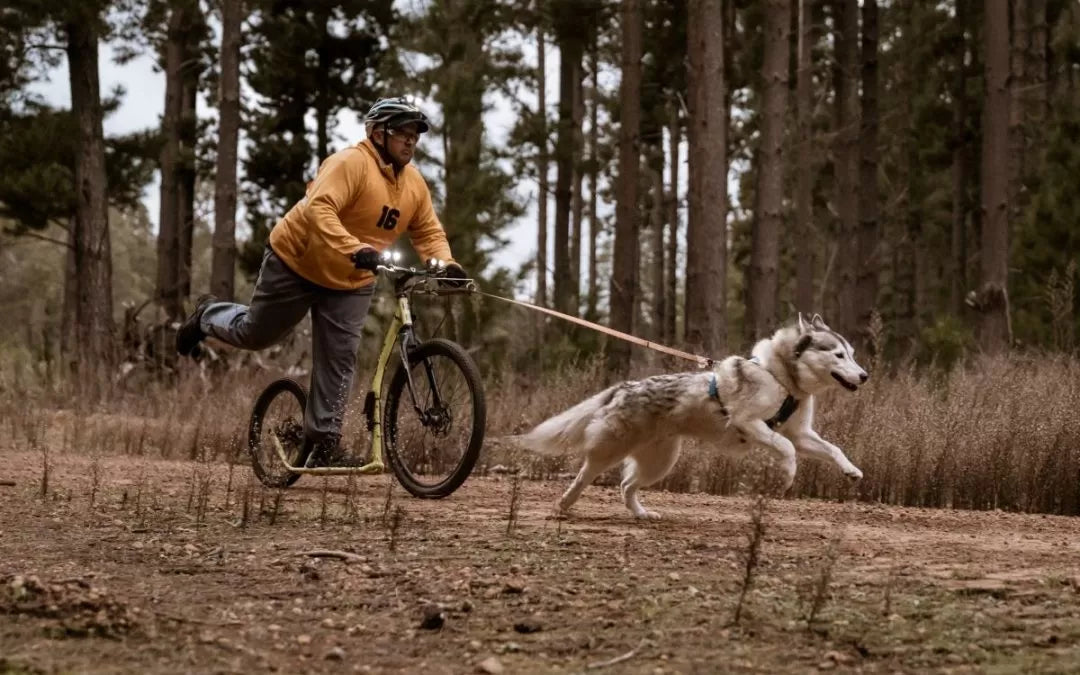 The choice of a mushing footbike – Footbikes Australia & Manmat
